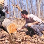 History & Timeline : SWRI