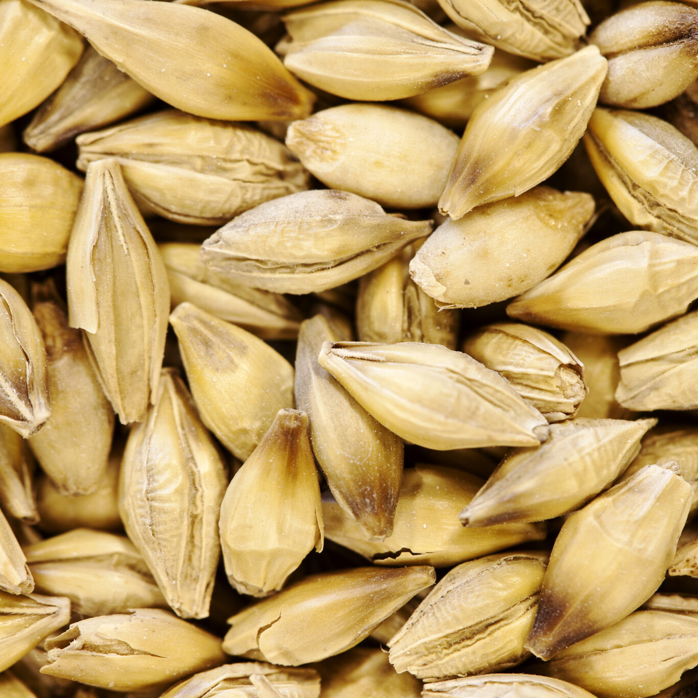 History & Timeline : SWRI