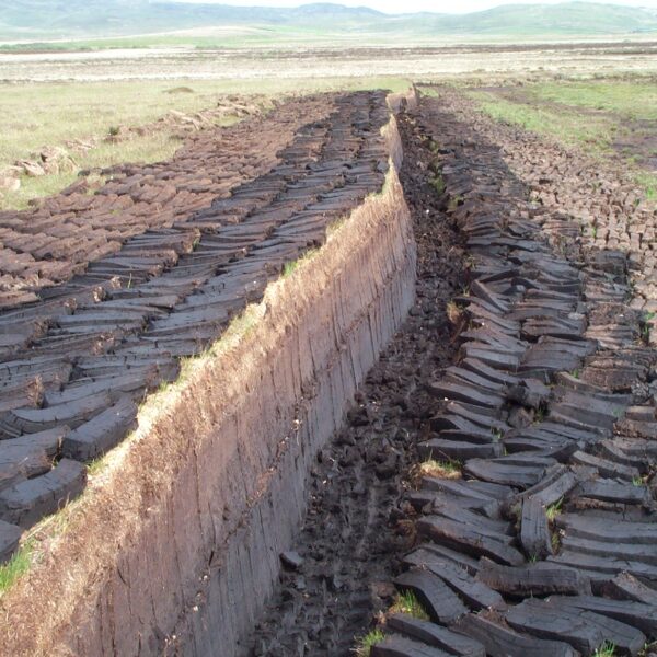 History & Timeline : SWRI